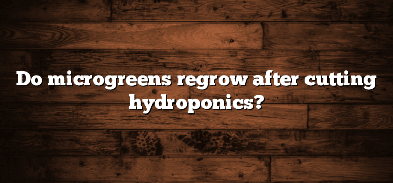 Do microgreens regrow after cutting hydroponics? - Inter Culturalu Do microgreens regrow after cutting hydroponics? - Inter Culturalu